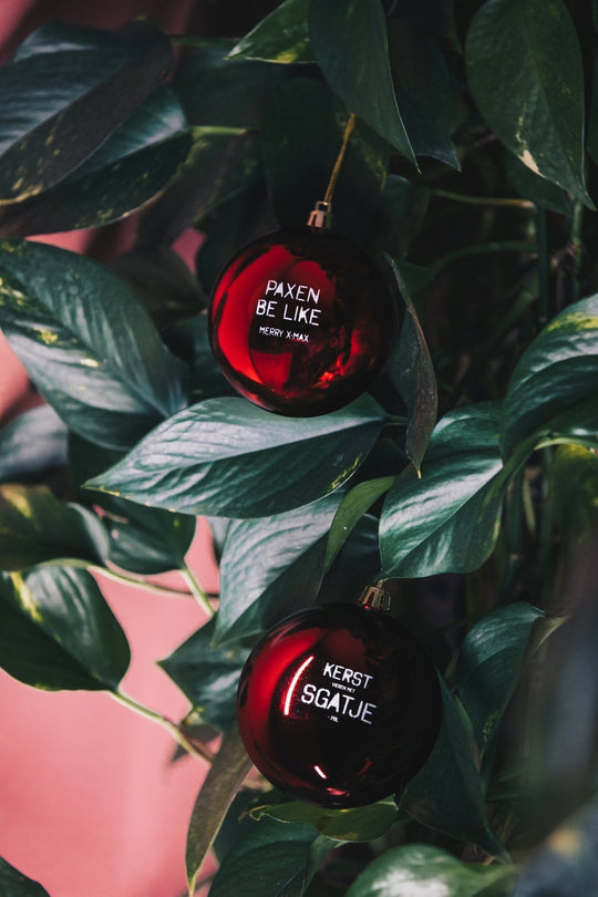 Paxen be like – Paxen Be Like